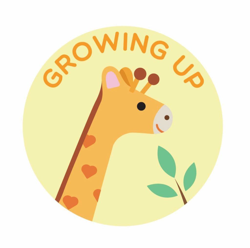 SuperPark Singapore Memberships | Unlimited Play & Exclusive Perks All Year